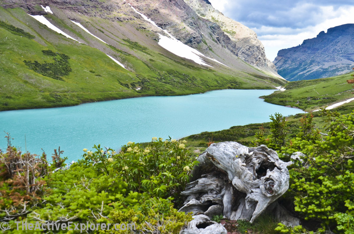 Blown away: Glacier National Park’s Cracker Lake Trail | The Active ...